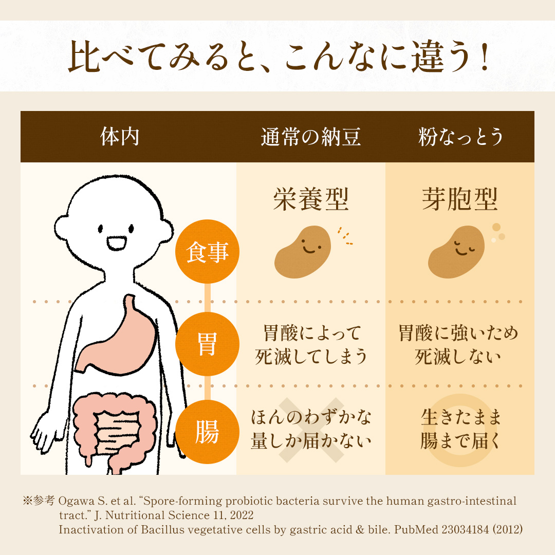美腸活 粉なっとう(85g)(40g) | チョイスジャパン株式会社